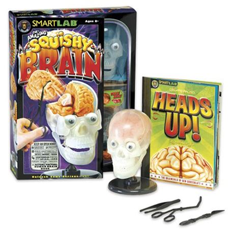 Squishy Brain Kit | Older Children Age 11+ | Mulberry Bush