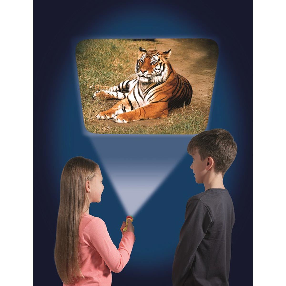 Animal Torch & Projector | Brainstorm | Torches