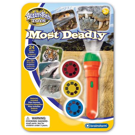 Childrens Torches | Fun Torches for Kids | Mulberry Bush